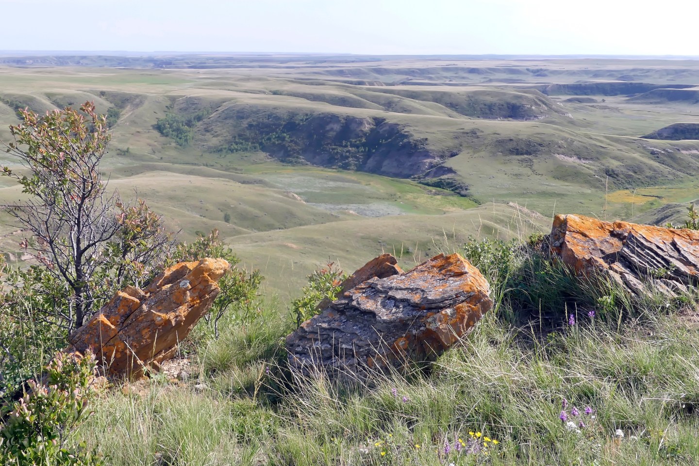 Secrets of the Big Muddy: Following the Outlaw Trail of Sam Kelly ...